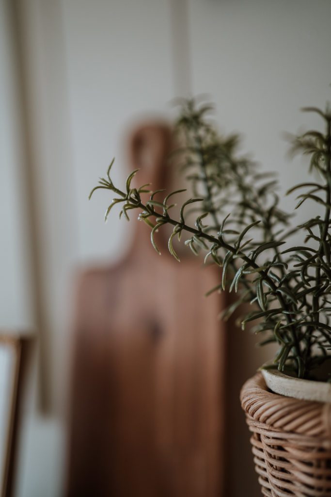 blog • Basecamp Visual